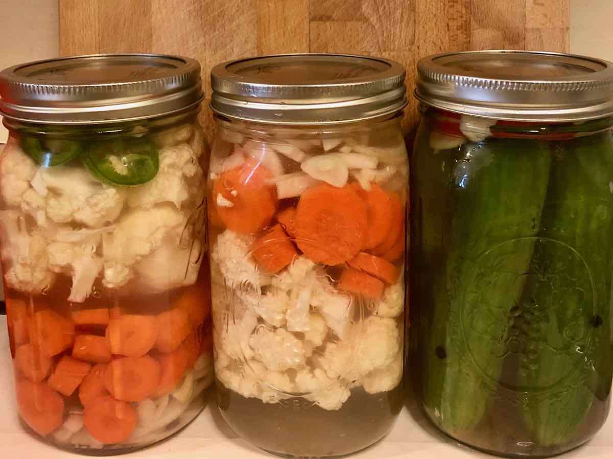 Ferments and The Health Benefits of Fermentation