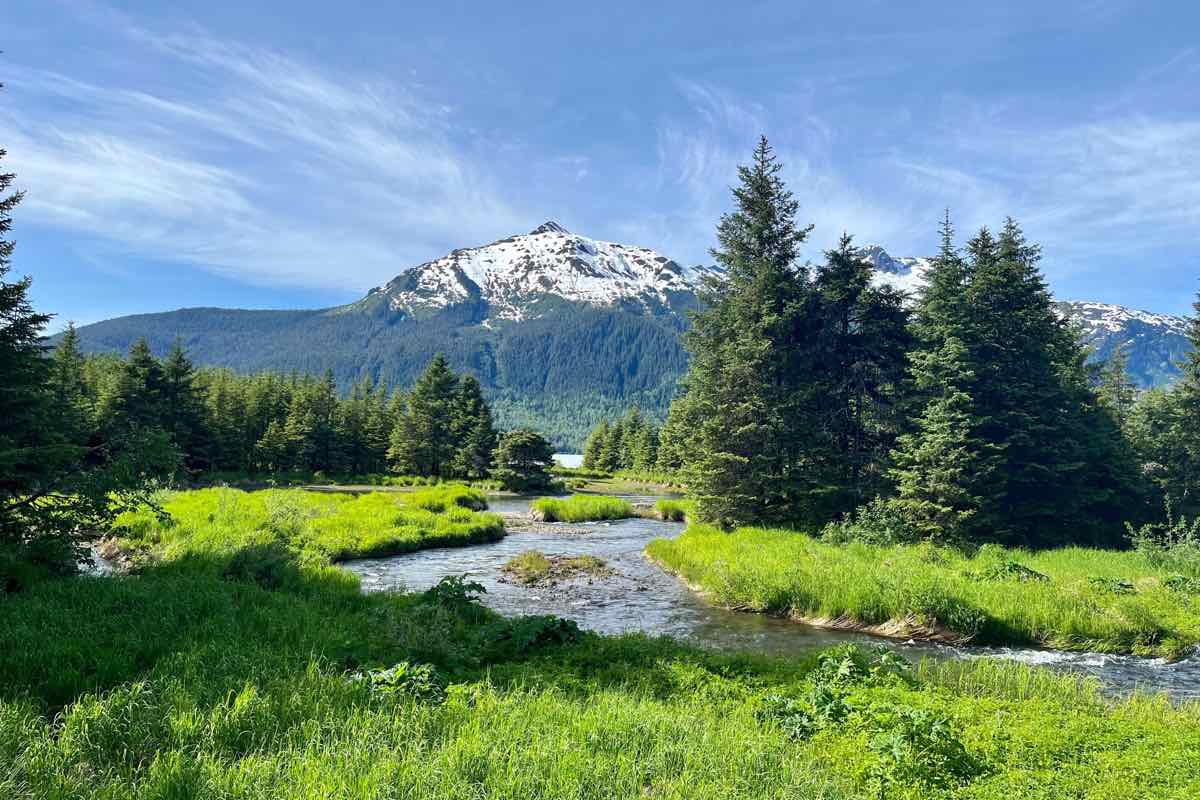 Toxins in the Body: Symptoms of your Toxic Burden