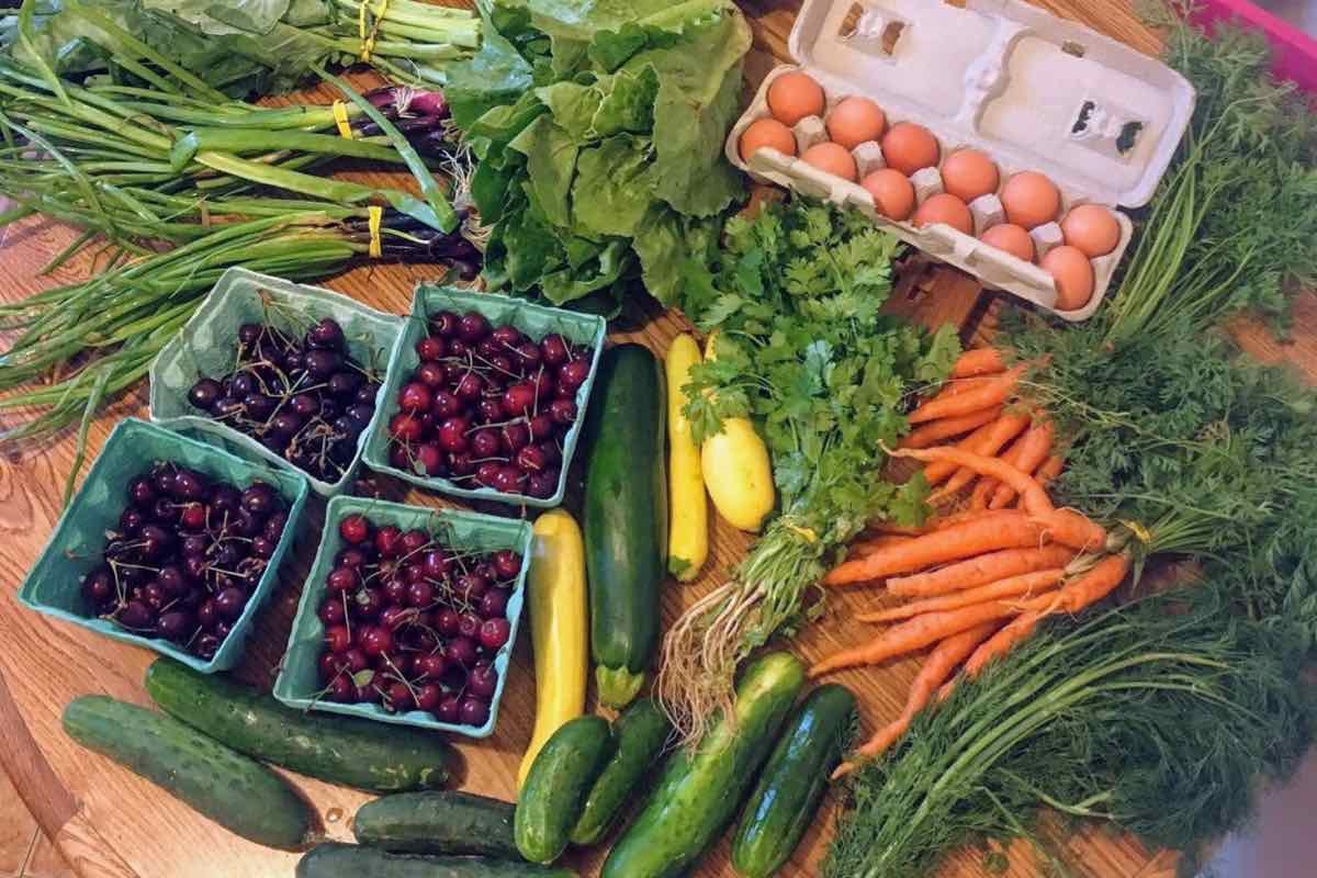 Signing up for a Farm Share or CSA share - Gaps Healing